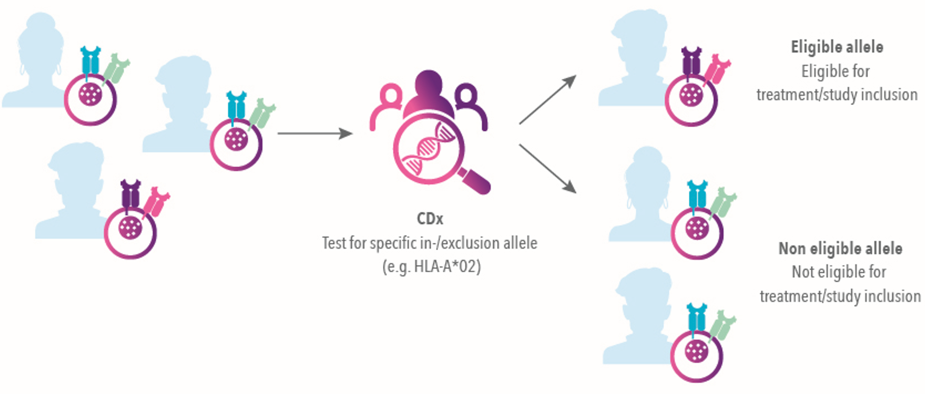 GenDx Companion Diagnostics CDx for Precision Medicine - GenDx